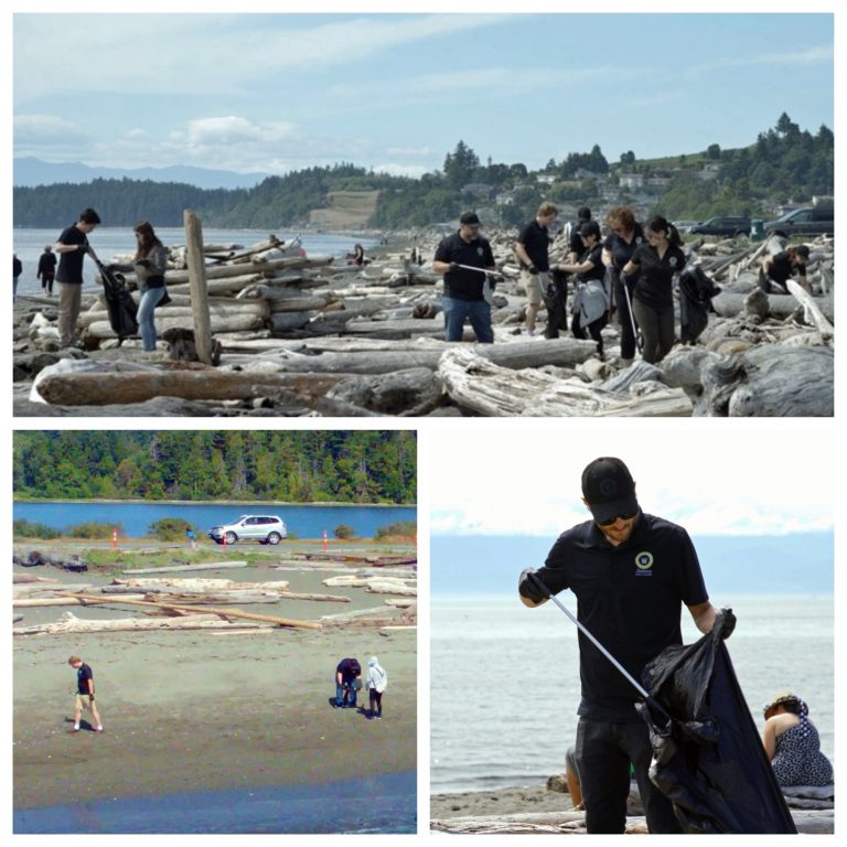 2019 Great Canadian Shoreline Cleanup - Balance Home Cleaning, Victoria BC